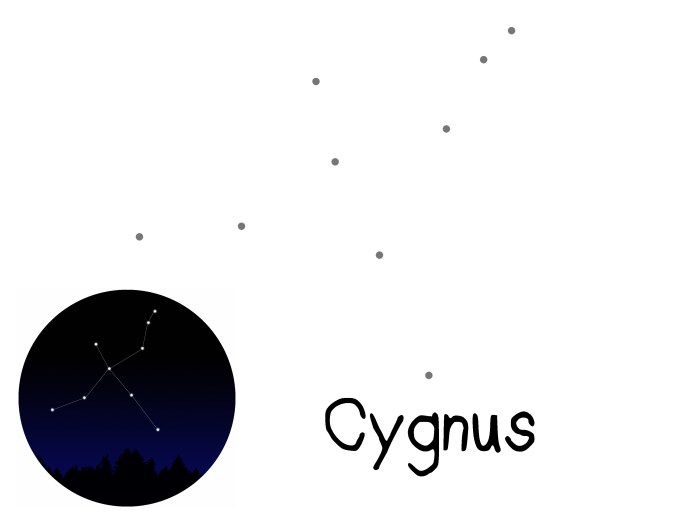 Cygnus Worksheet | Projects In Parenting