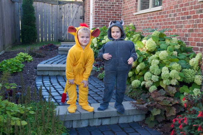 DIY Lion Guard Costumes | Projects In Parenting